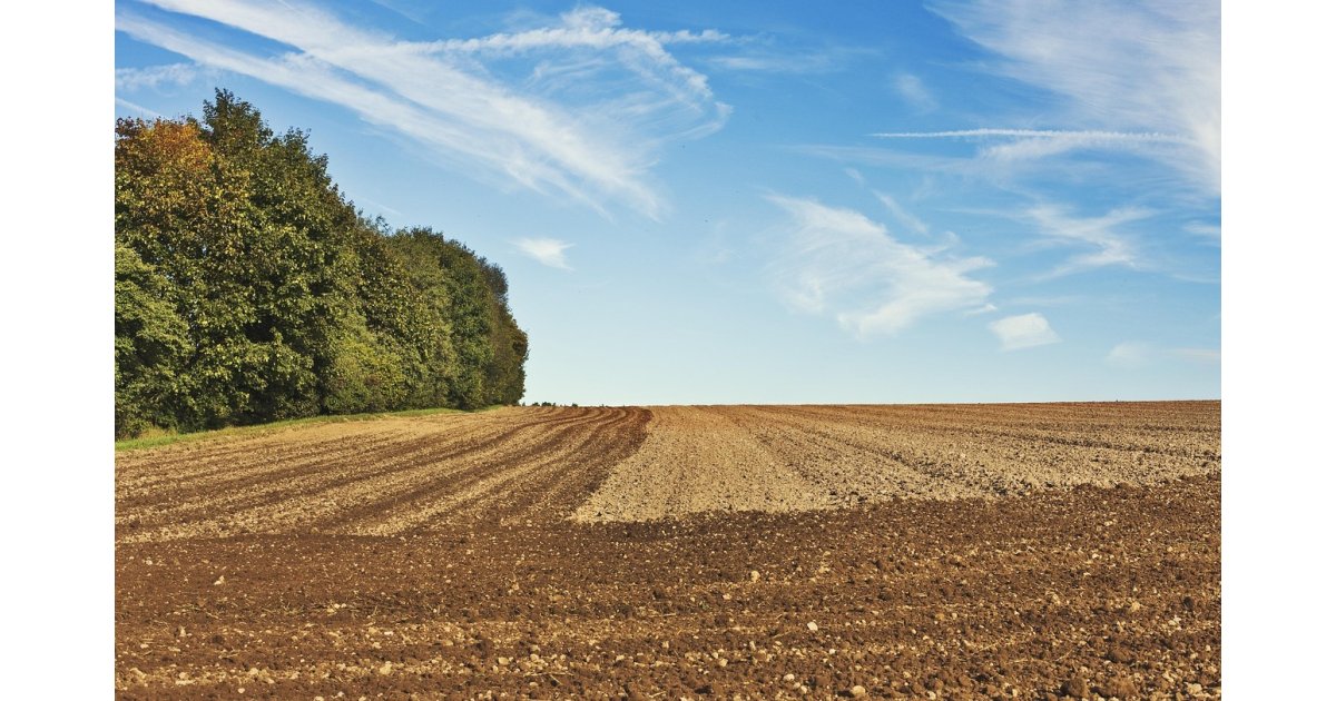 Antragsverfahren für Agrarumwelt- und Klimamaßnahmen im Rahmen des GAP ...